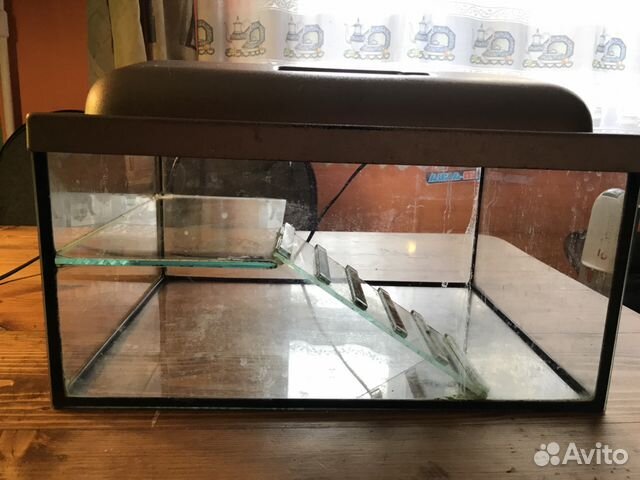 Террариум-черепашатник