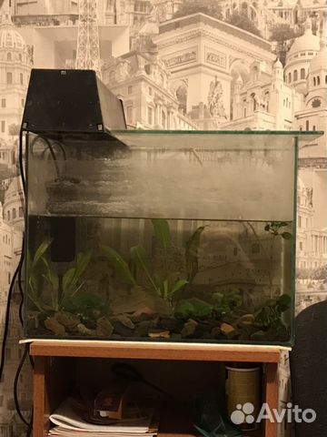 Аквариум