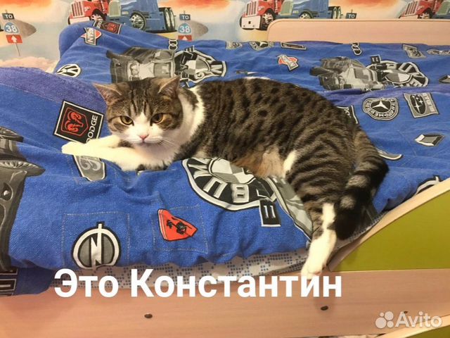 Ищу родителей для моих двух деток, ежемесячная опл