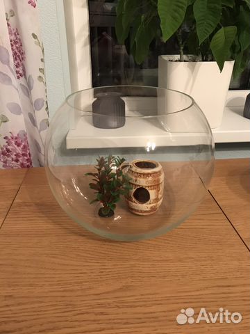 Аквариум с аксессуарами