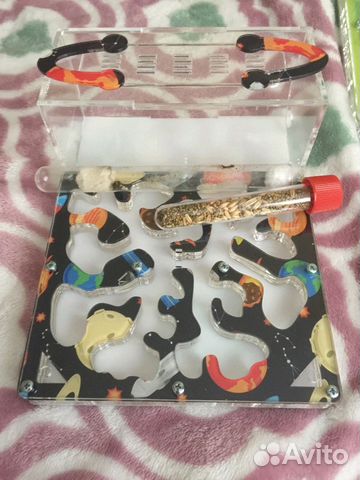 Муравьиная ферма