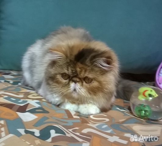 Грушенька