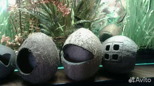 Кокосовые домики