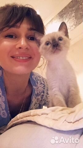 Отдам котейку в добрые руки