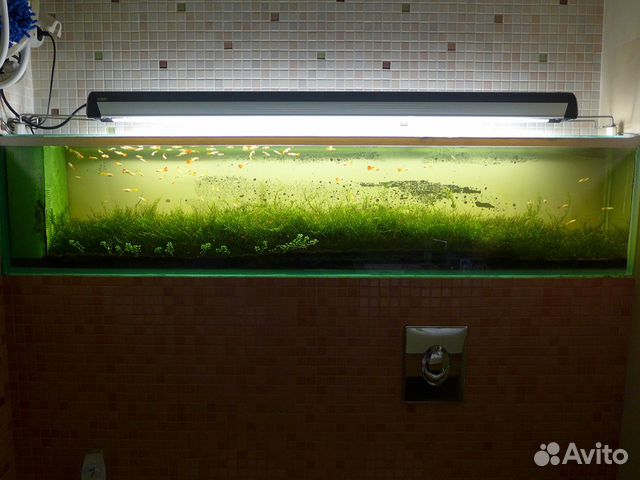 Аквариум (креветочник) в стиле ADA от VS Aqua +все
