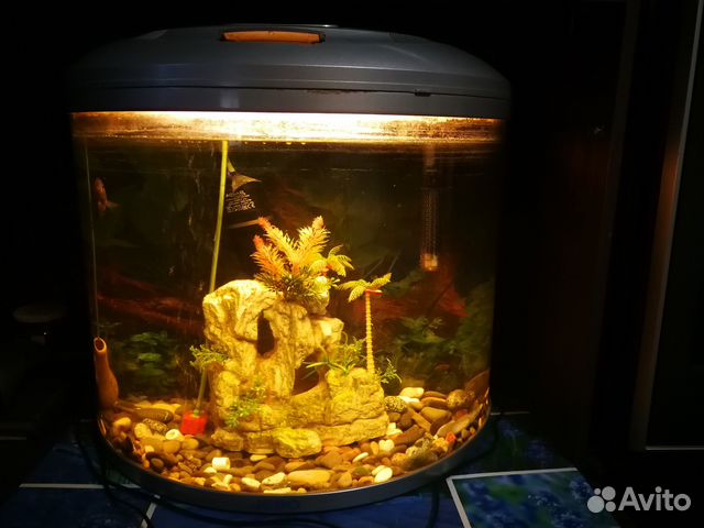 Аквариум jebo