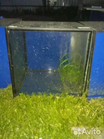 Аквариум