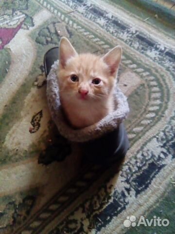 А меня заберите