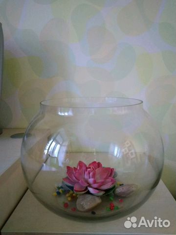 Аквариум-банка