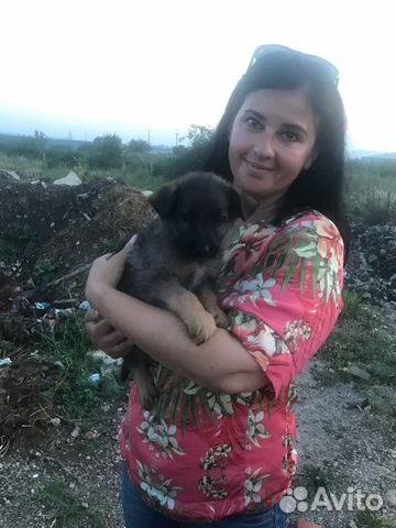 SOS Ищем хозяина с добрым сердцем