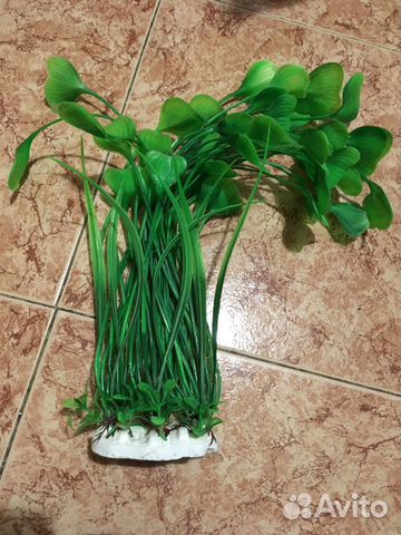 Искусственные водоросли