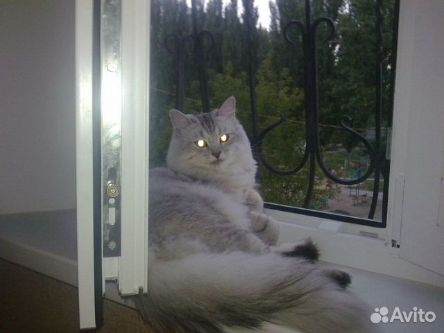 Вязка