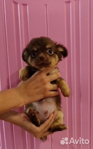 Мальчик чих