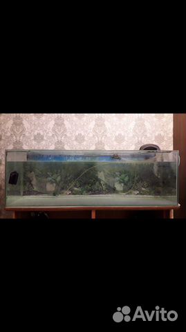 Аквариум