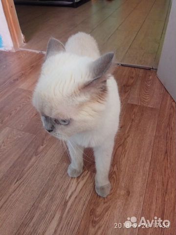 Девочка, 2 года