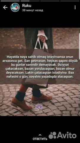 Продаю быков