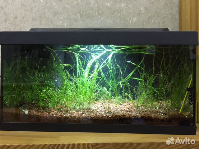 Продам аквариум tetra 54л