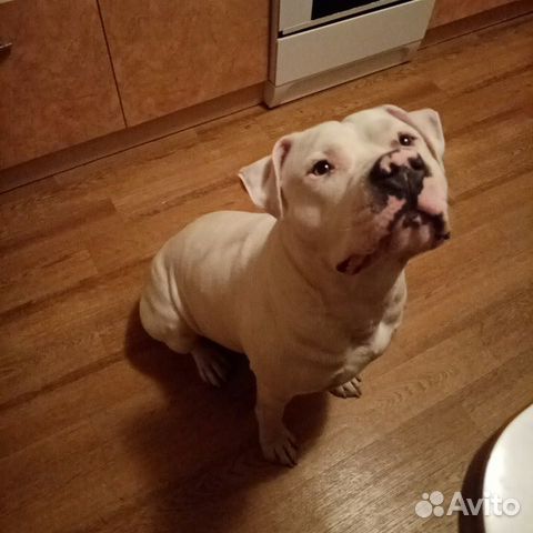 Приедем на вязку