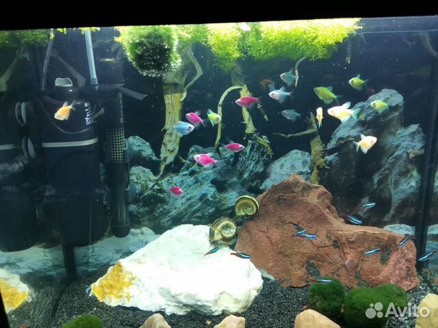 Нано аквариум