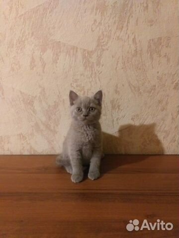 Британская