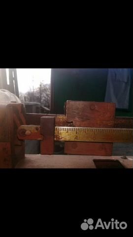 Курдючный баран на племя