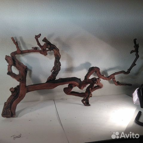 Коряги разные