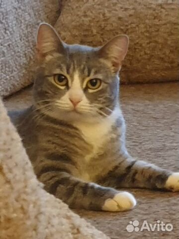 Милаша ждет маму