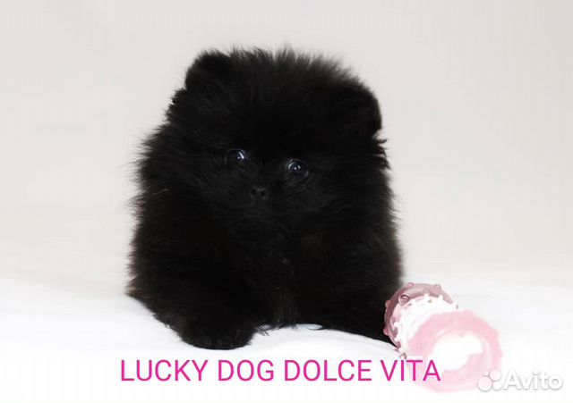 Чёрный бумер)