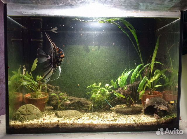 Аквариум