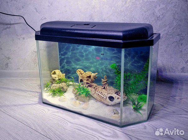 Аквариум
