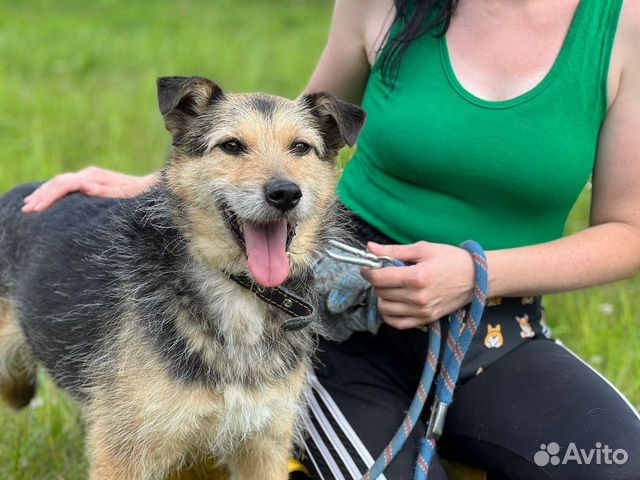 Бредли очень хочет жить