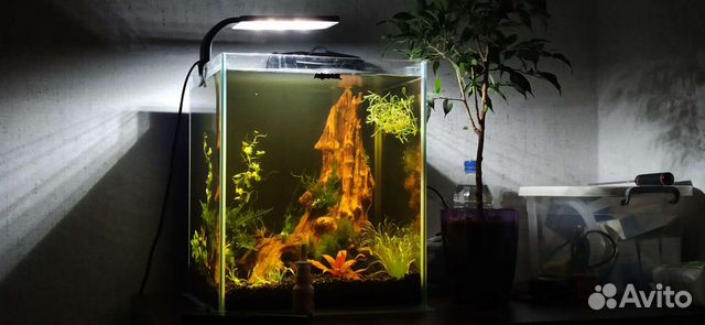 Коряга для аквариума