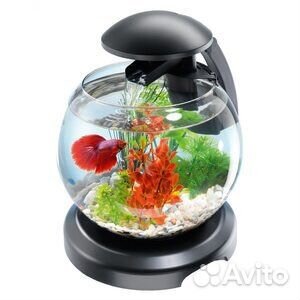Аквариум круглый с подсветкой