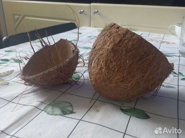 Скорлупа от кокоса, кокос