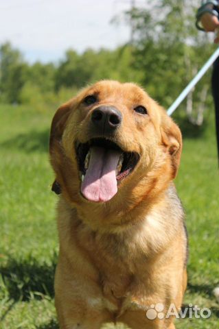 Баффи ждет своего человека