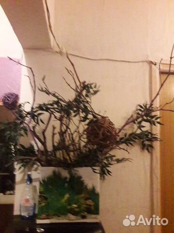 Коряги, ветки