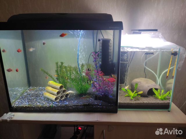 Продам аквариумы с рыбками и тумбой