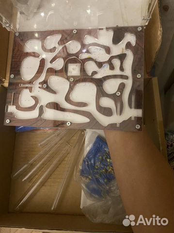 Муравьиная ферма в сборе