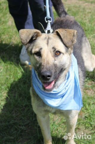 Великолепная и умная девочка