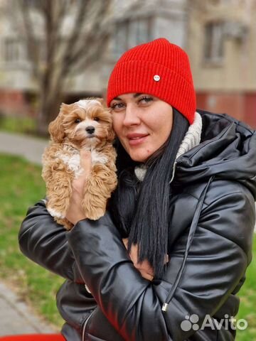 Девочка красотка Мальтипу