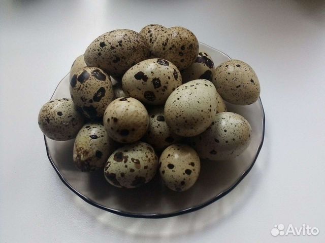 Яйца перепелиные домашние