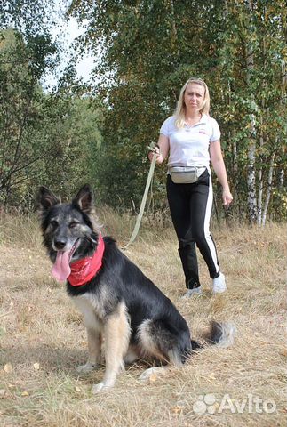 Шерман станет лучшим другом