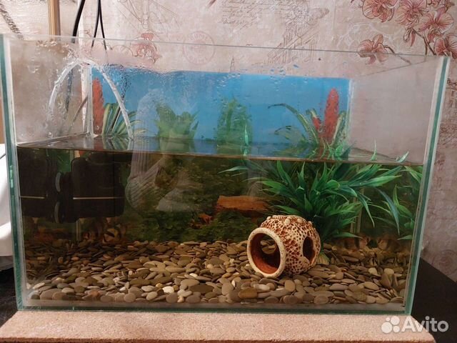 Аквариум в полной комплектации