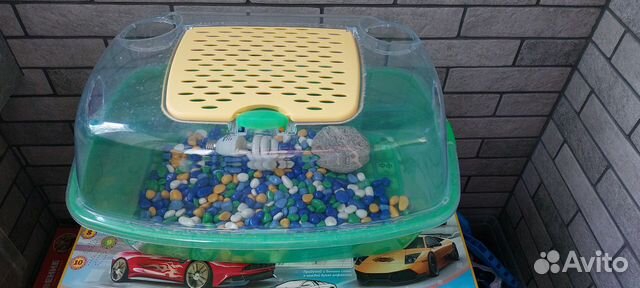 Контейнер для водной черепахи