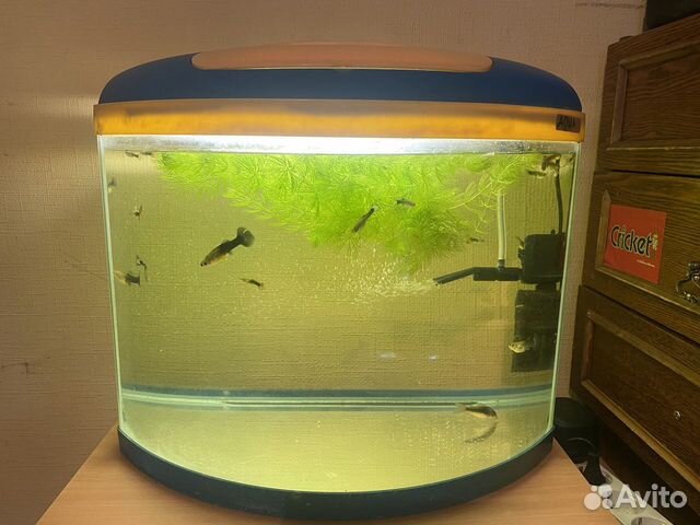 Панорамный Аквариум Aquael 20 литров