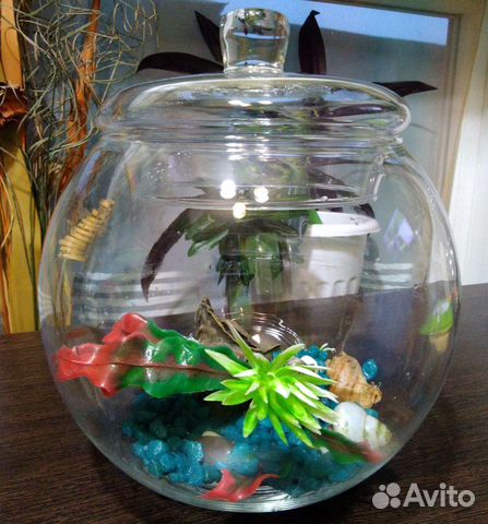 Аквариум круглый 5л