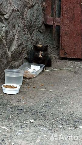 Спасём вместе