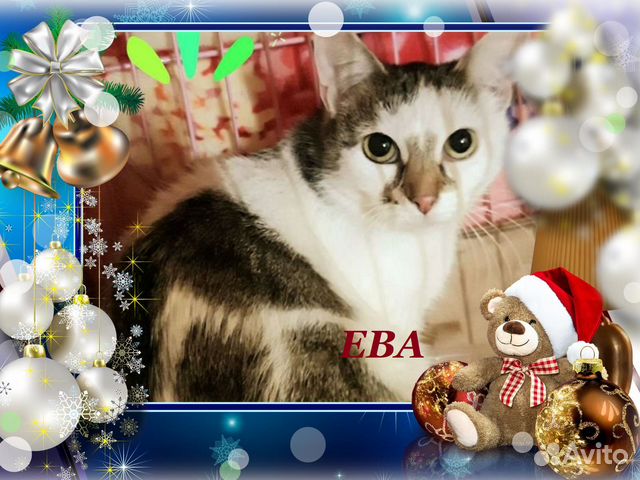 Тихая спокойная молоденькая Ева ищет свой дом