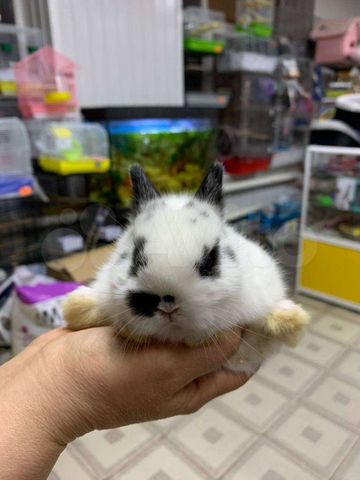 Крошки на ладошке)